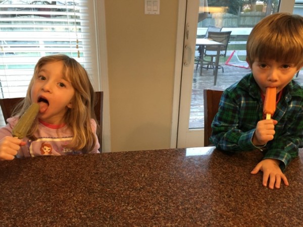 Review of Ruby Rockets Ice Pops - https://veggingonthemountain.com/