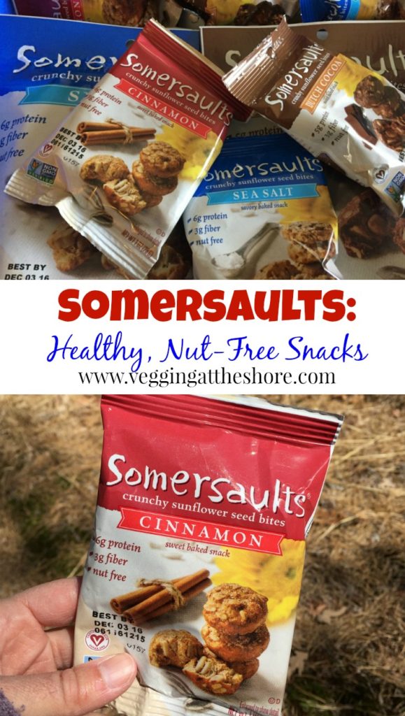 Somersault Snacks - https://veggingonthemountain.com/